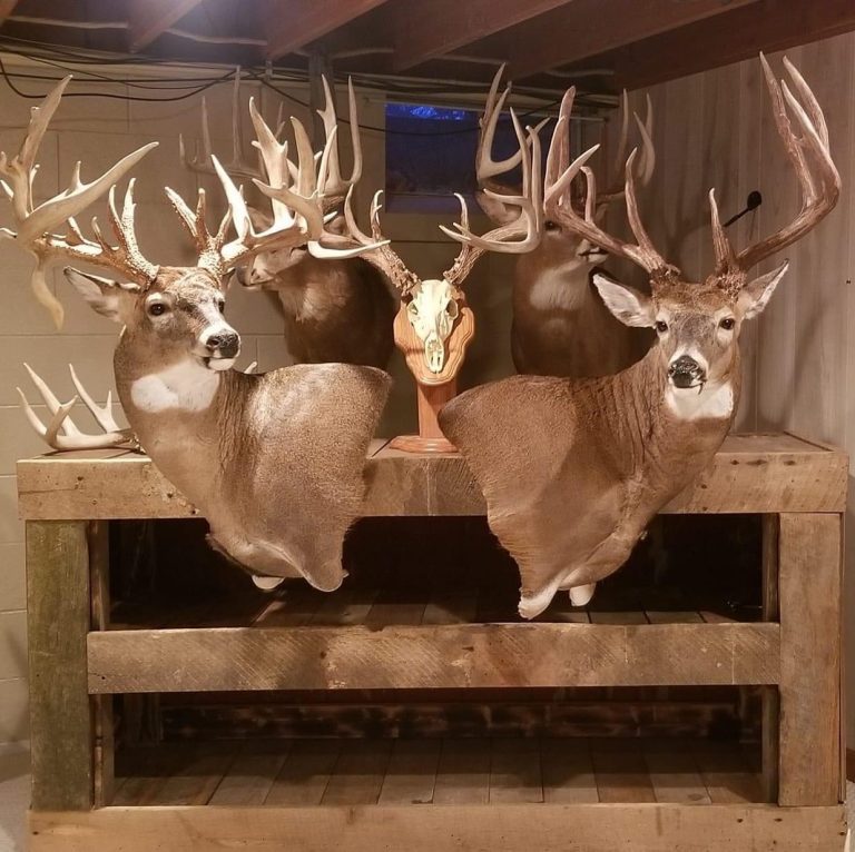 Whitetail Forms Joe Coombs Classics Inc
