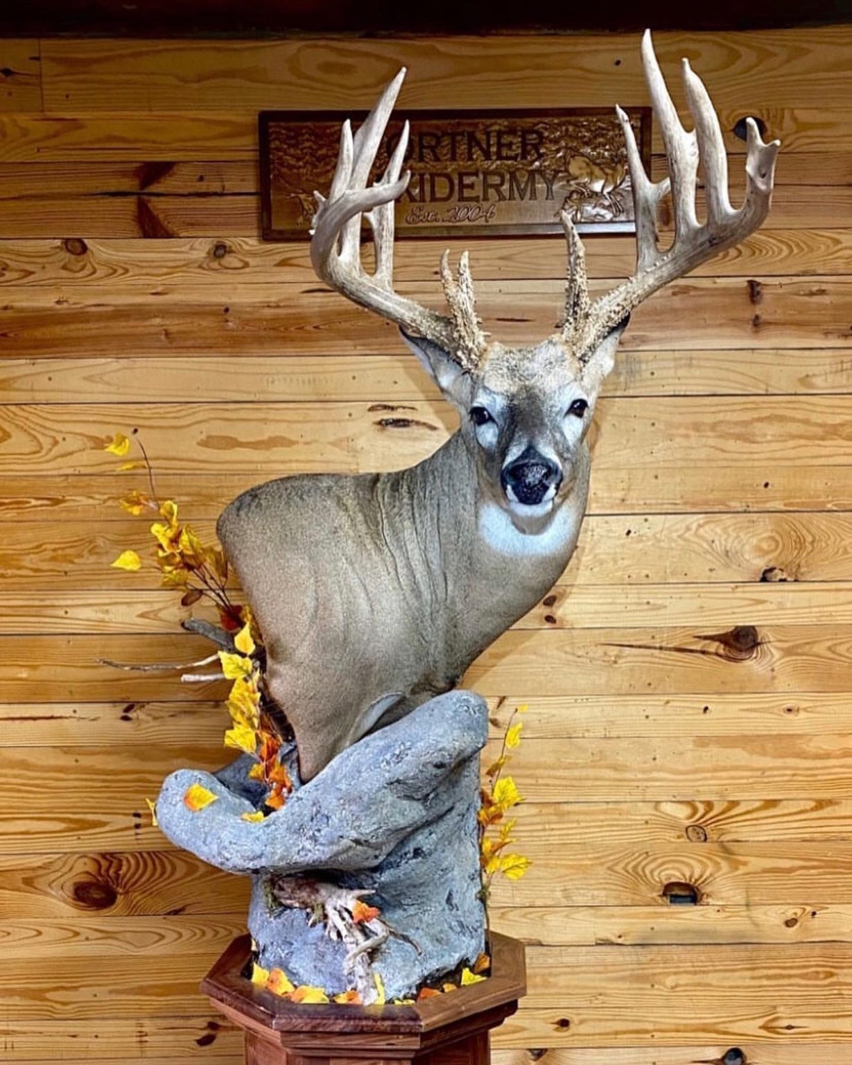 Customer Spotlight – Joe Coombs Classics, Inc.