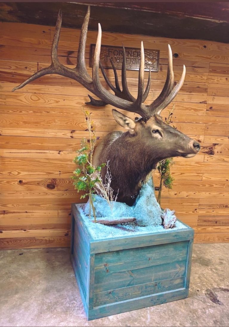 Customer Spotlight – Joe Coombs Classics