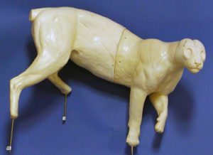 Manikins and Forms – Joe Coombs Classics, Inc.