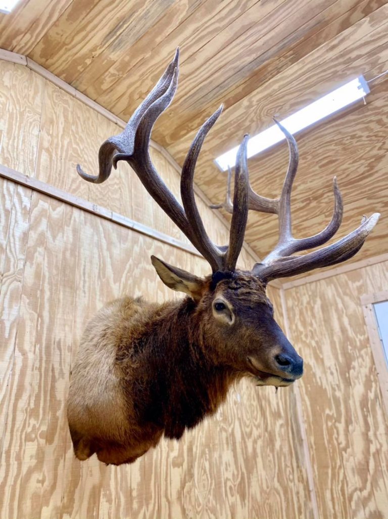 Customer Spotlight – Joe Coombs Classics