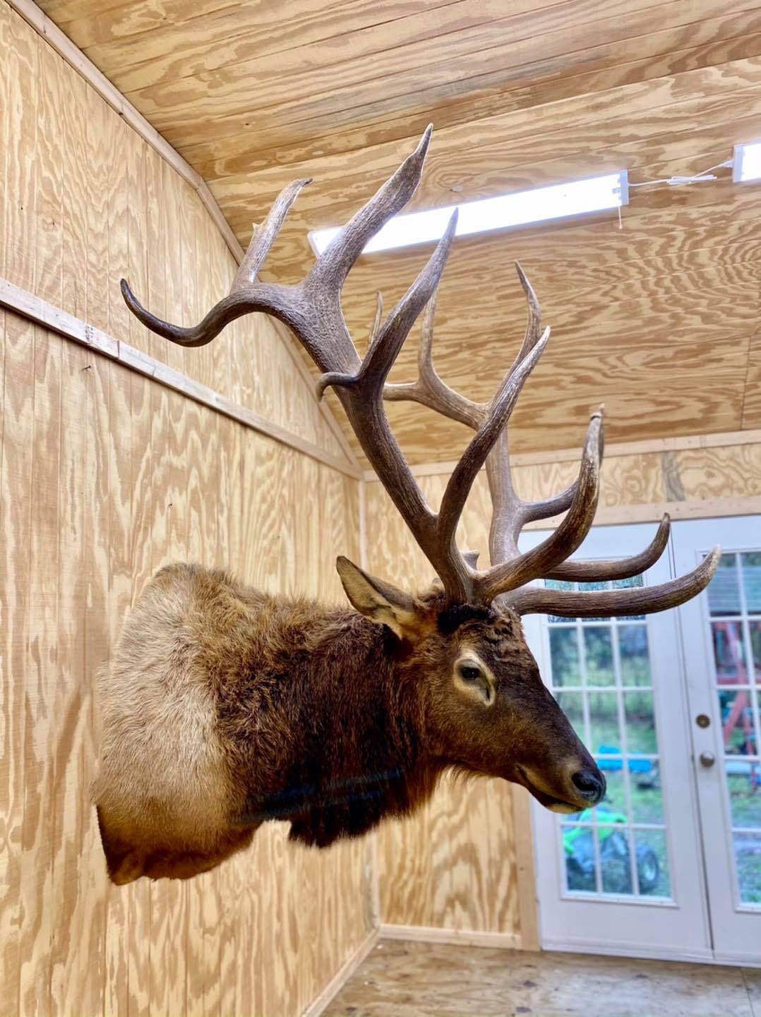 Customer Spotlight – Joe Coombs Classics, Inc.